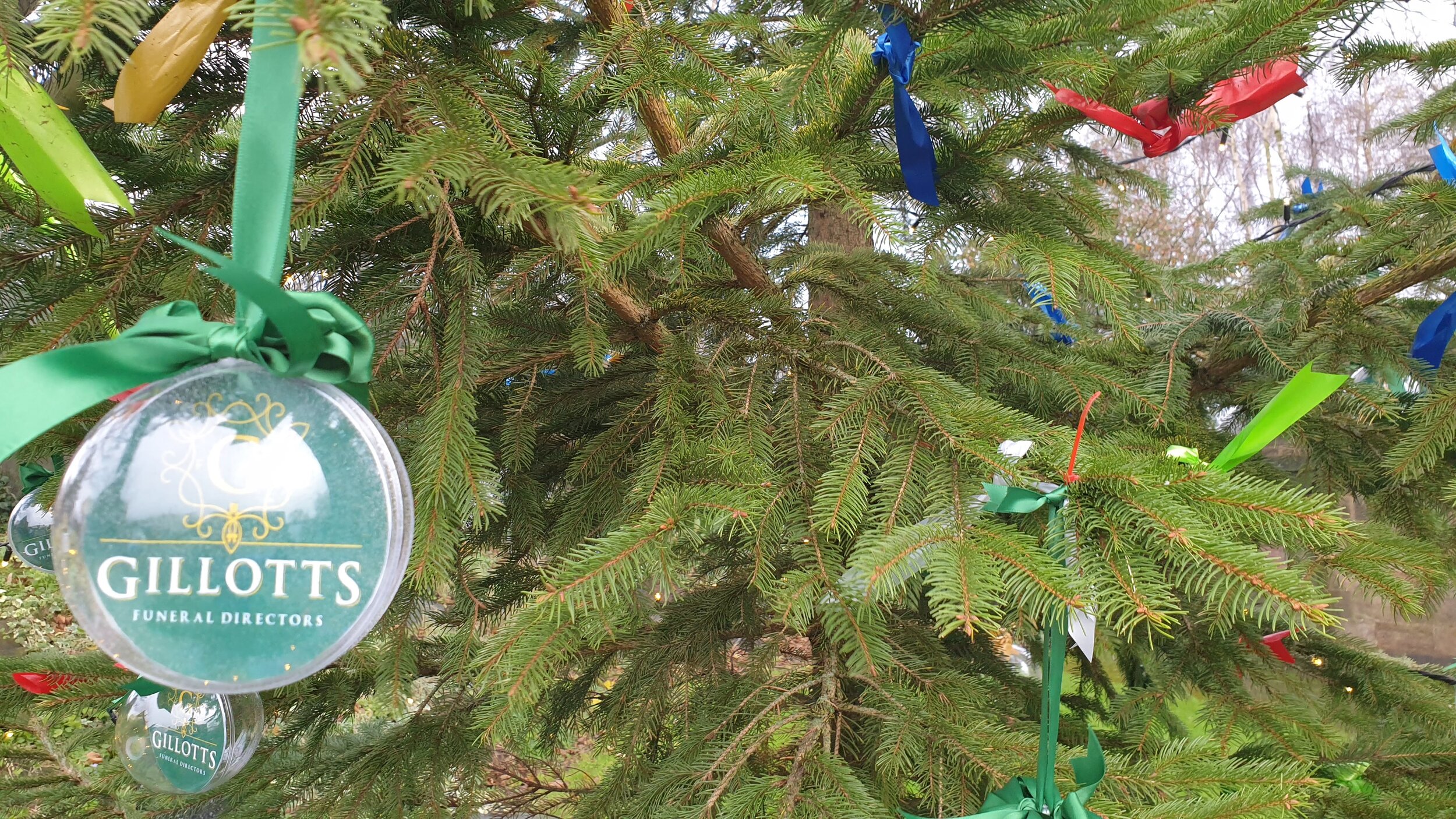 Gillotts rings the changes as it launches its annual Christmas Tree ...