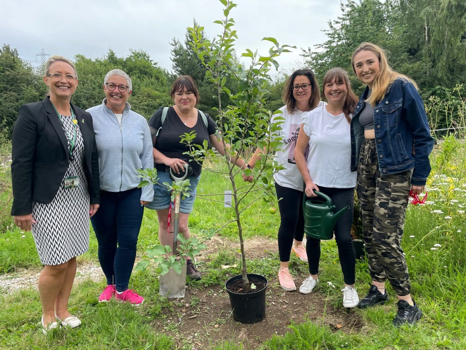Tree-mendous donation offers staff and students a place to relax at ...
