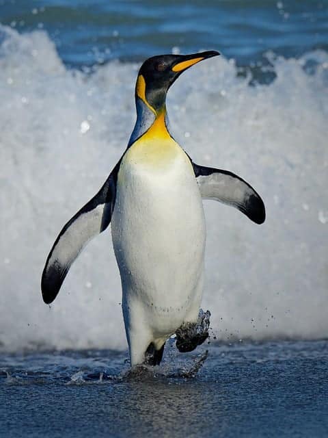 Digital PR - a whole new world or just a new word? - Penguin PR